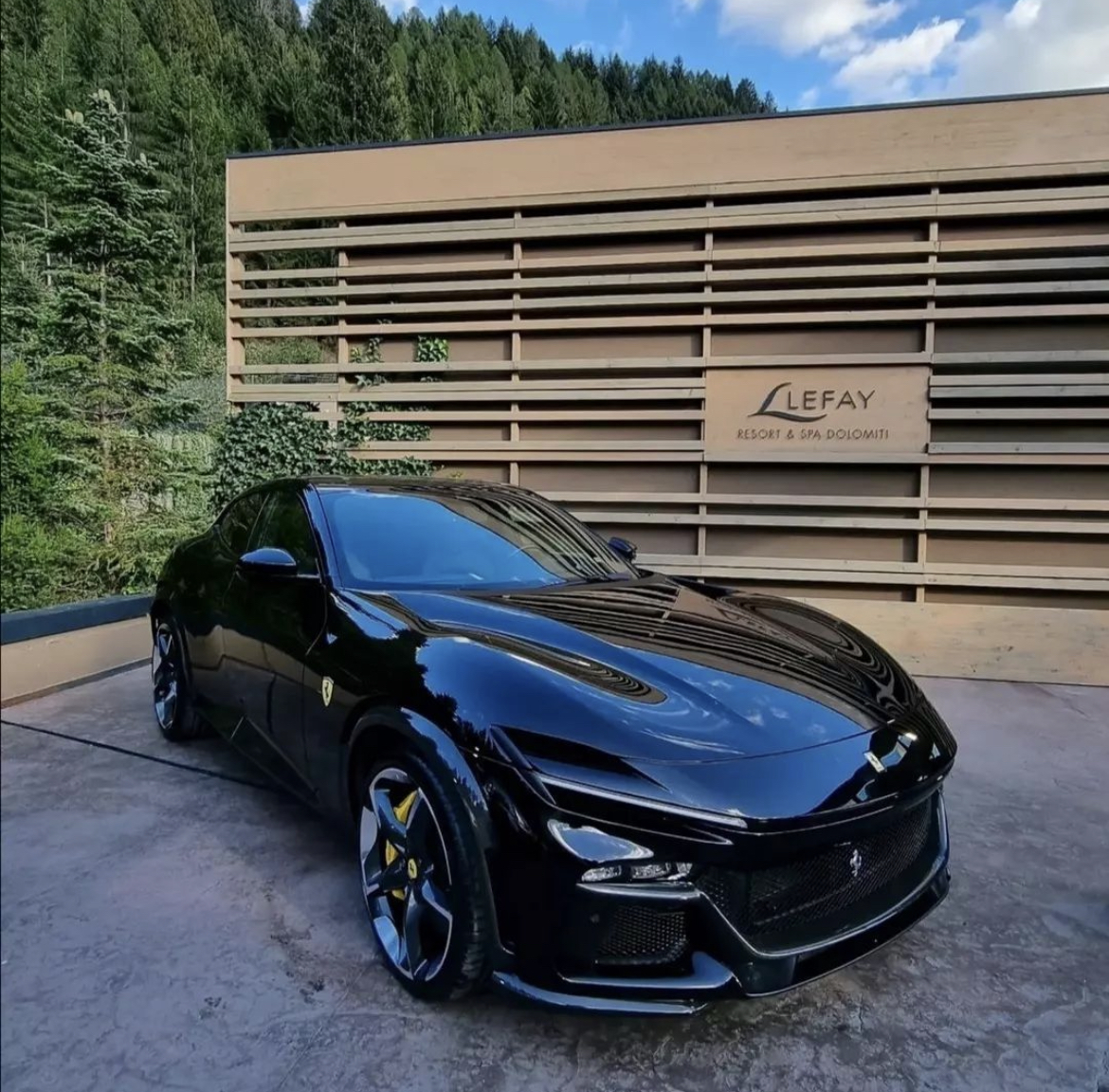 Black Purosangue / *Visionary Tokyo / Ring of Colour